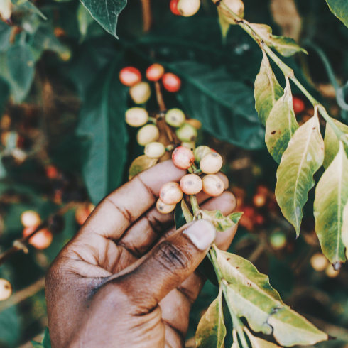 Madar Solutions Group